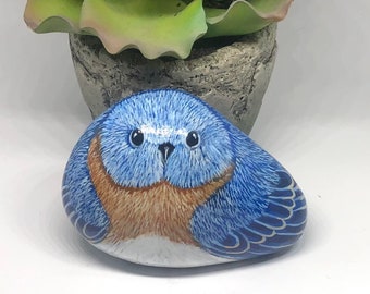 Hand Painted Cute Eastern Bluebird Painted Rock, Unique Painted Stone ...