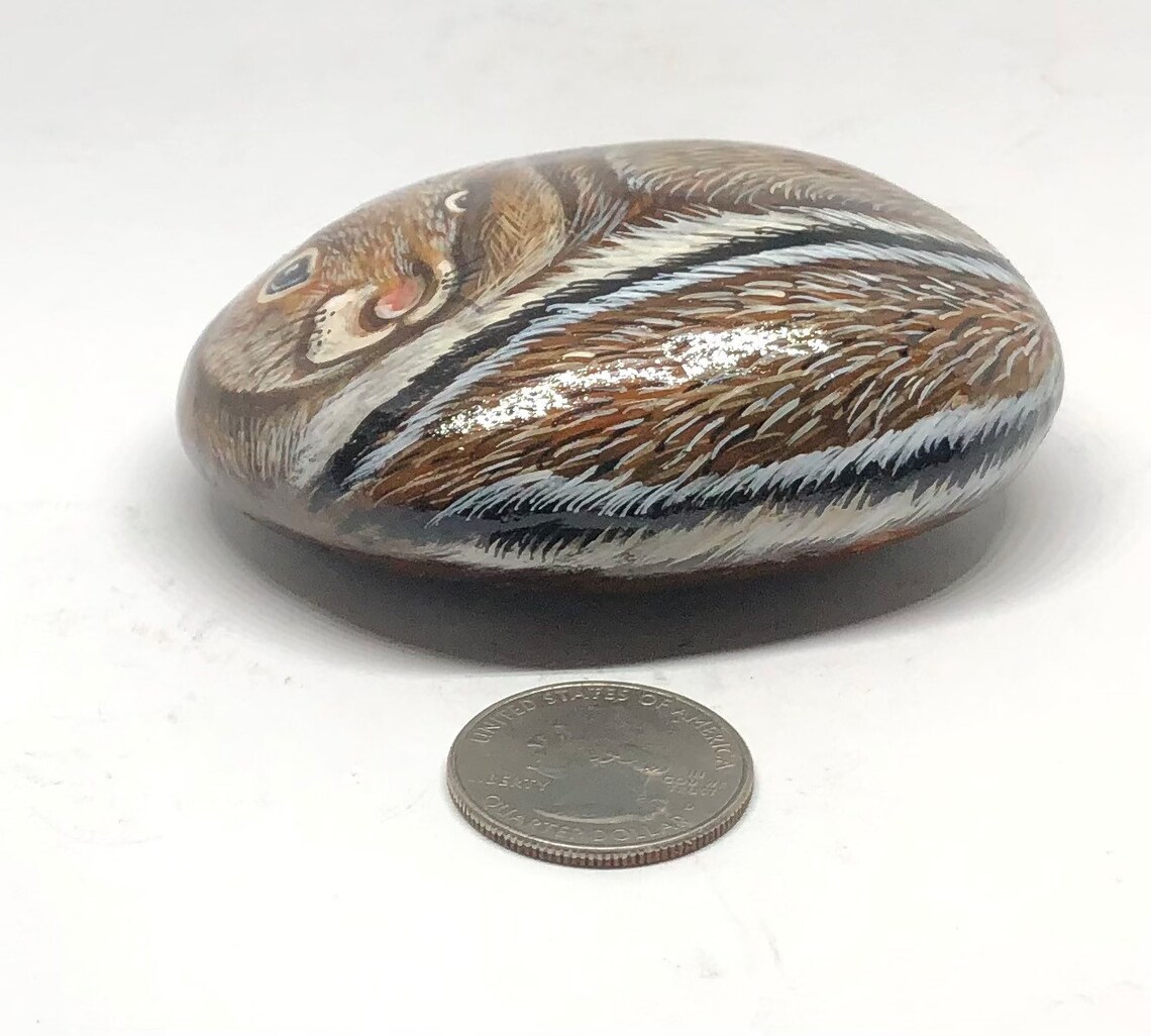 Squirrel Painted Rocks for Home Decor Spirit Animal Totem - Etsy