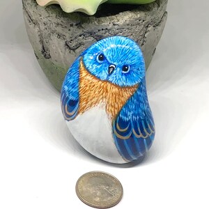 Hand Painted Cute Eastern Bluebird Painted Rock, Unique Painted Stone ...