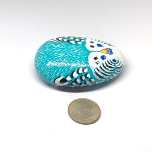 Blue Parakeet Painted Rocks, Unique Painted Stone Gifts for Bird Lovers ...