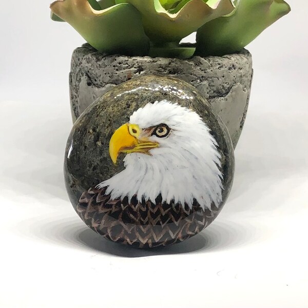 Painted Rocks Birds - Etsy