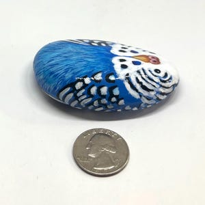 Blue Parakeet Painted Rocks for Gifts, Unique Painted Stone Gifts for ...