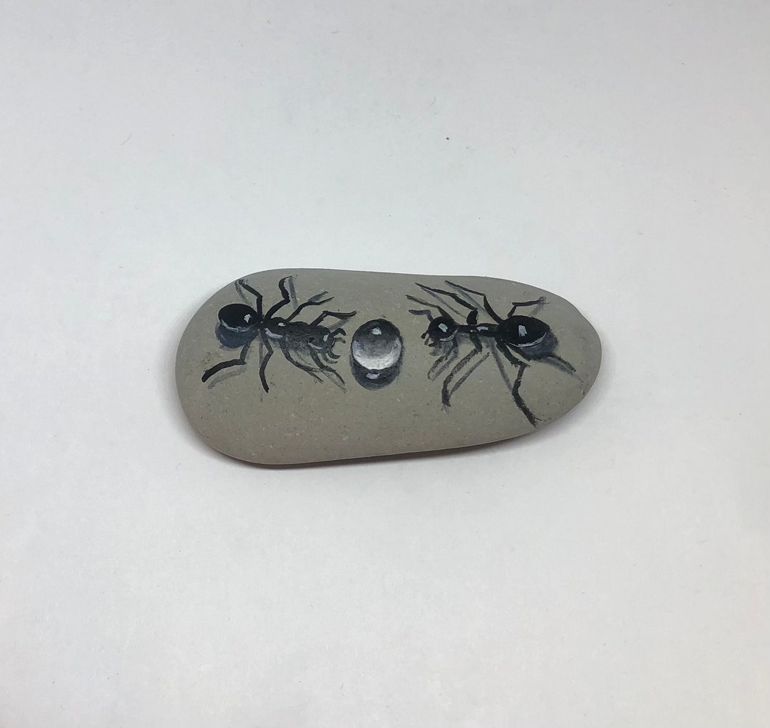 Ants and Water Drop Painted Rocks, Hand Painted Stones for Home and ...