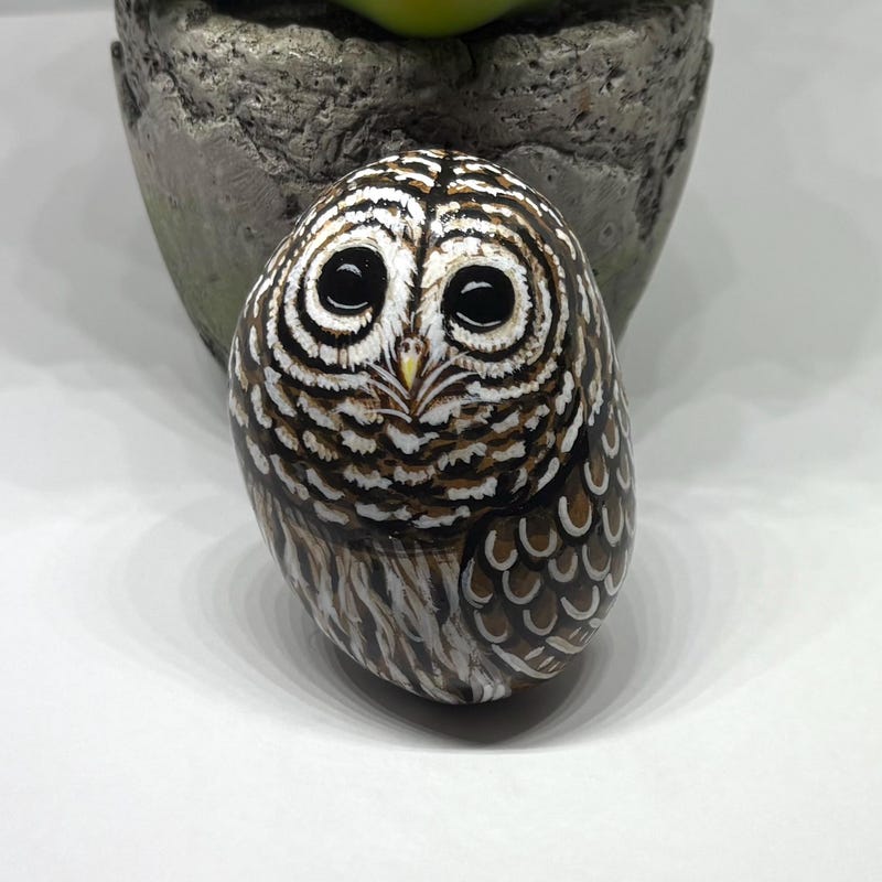 Painted Owl Rocks - Etsy