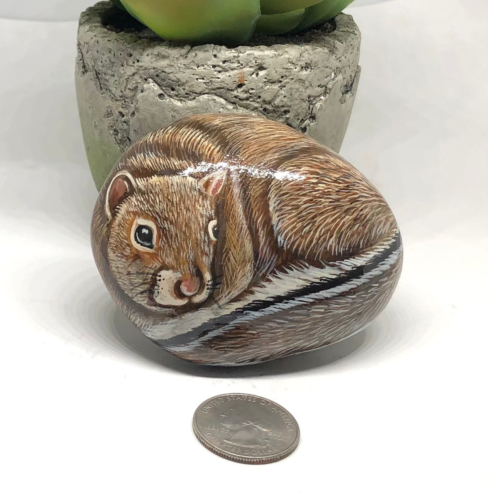 Squirrel Painted Rocks for Home Decor Spirit Animal Totem - Etsy