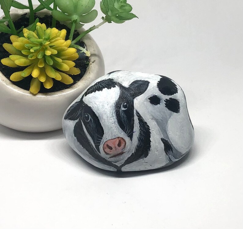 Cow Painted Rocks Farm Animal Painted Stones for Home Decor - Etsy