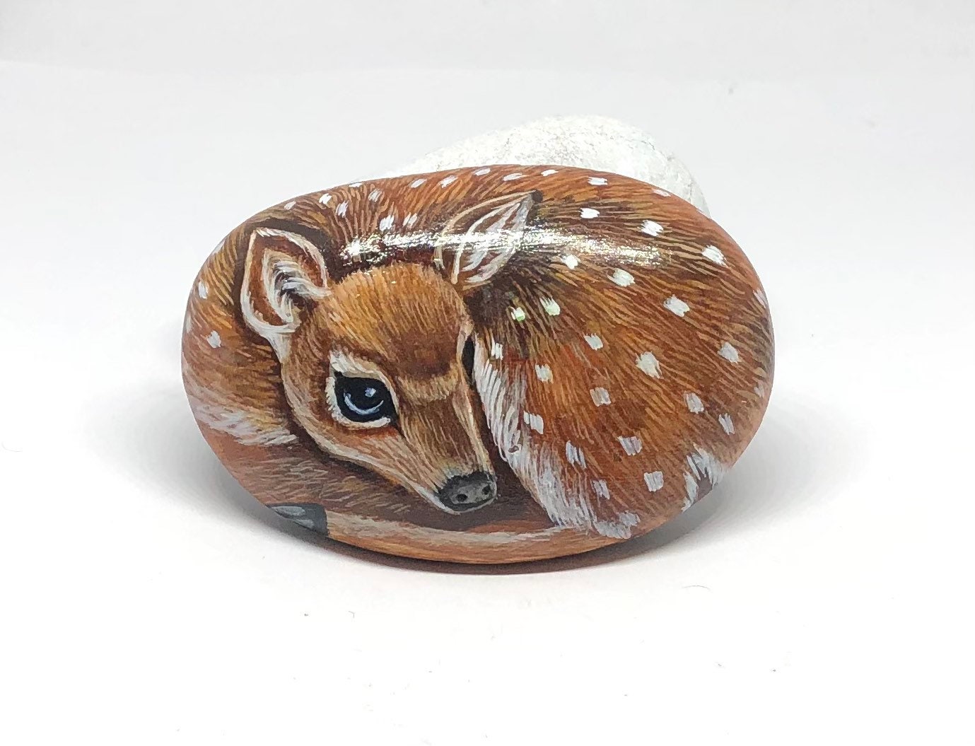 Fawn painted rock unique deer painted stones for gift and | Etsy