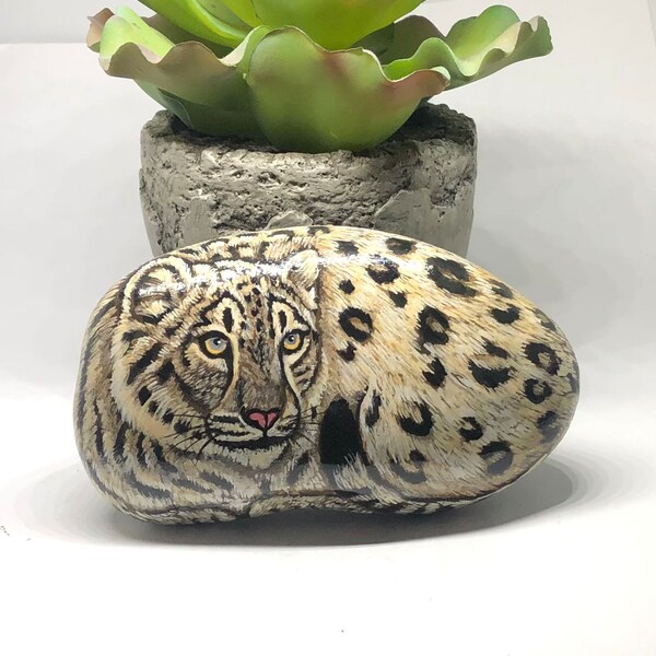 Animal Rock Art - Etsy