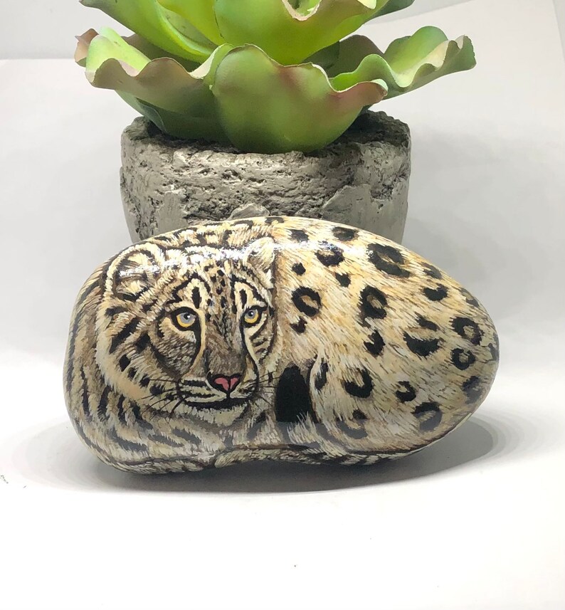 Snow Leopard Painted Rock for Home Decor Hand Painted - Etsy