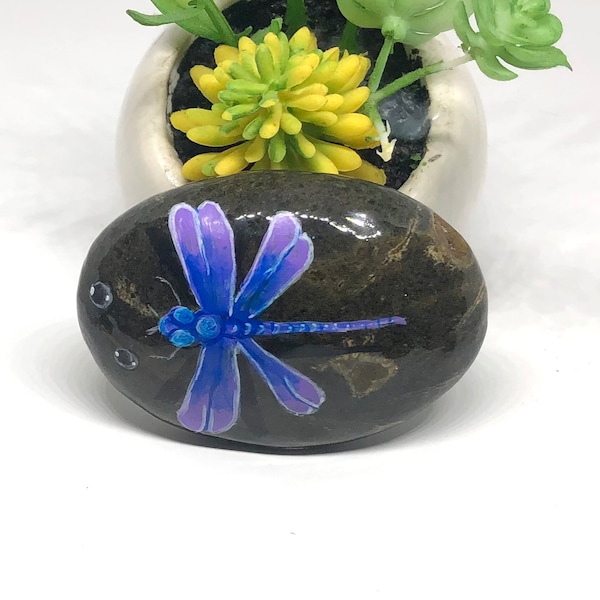 Dragonfly Painted Rock - Etsy