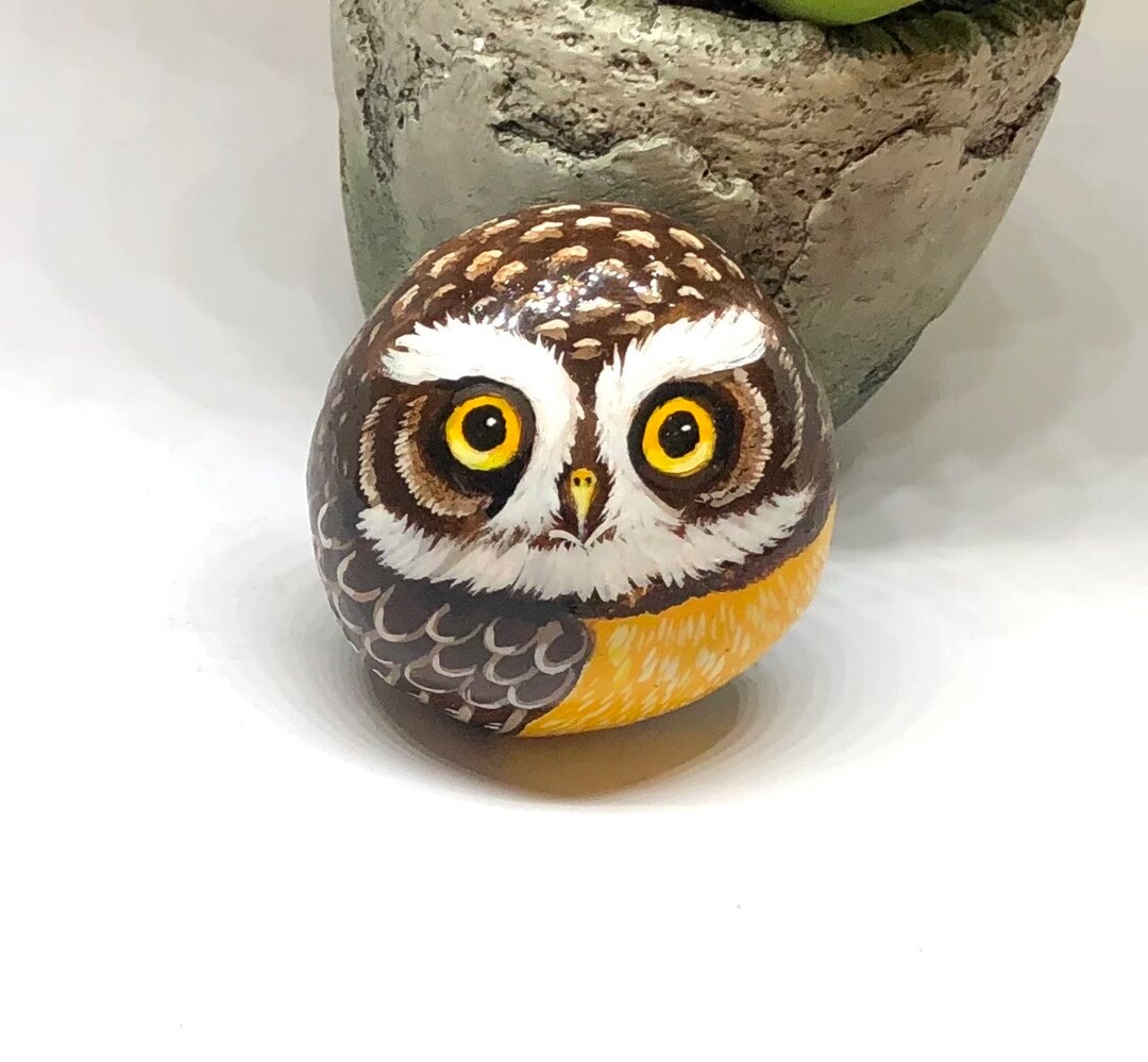 Little Spectacled Owl Painted Rock Gifts for Women , Owl Painted Stones ...