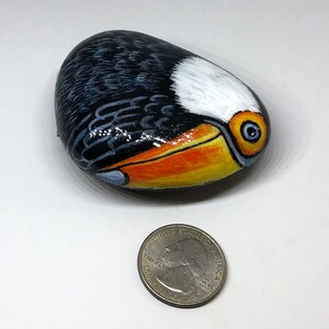 Another Small Toucan Painted Rocks, Unique Painted Stone Gifts for ...