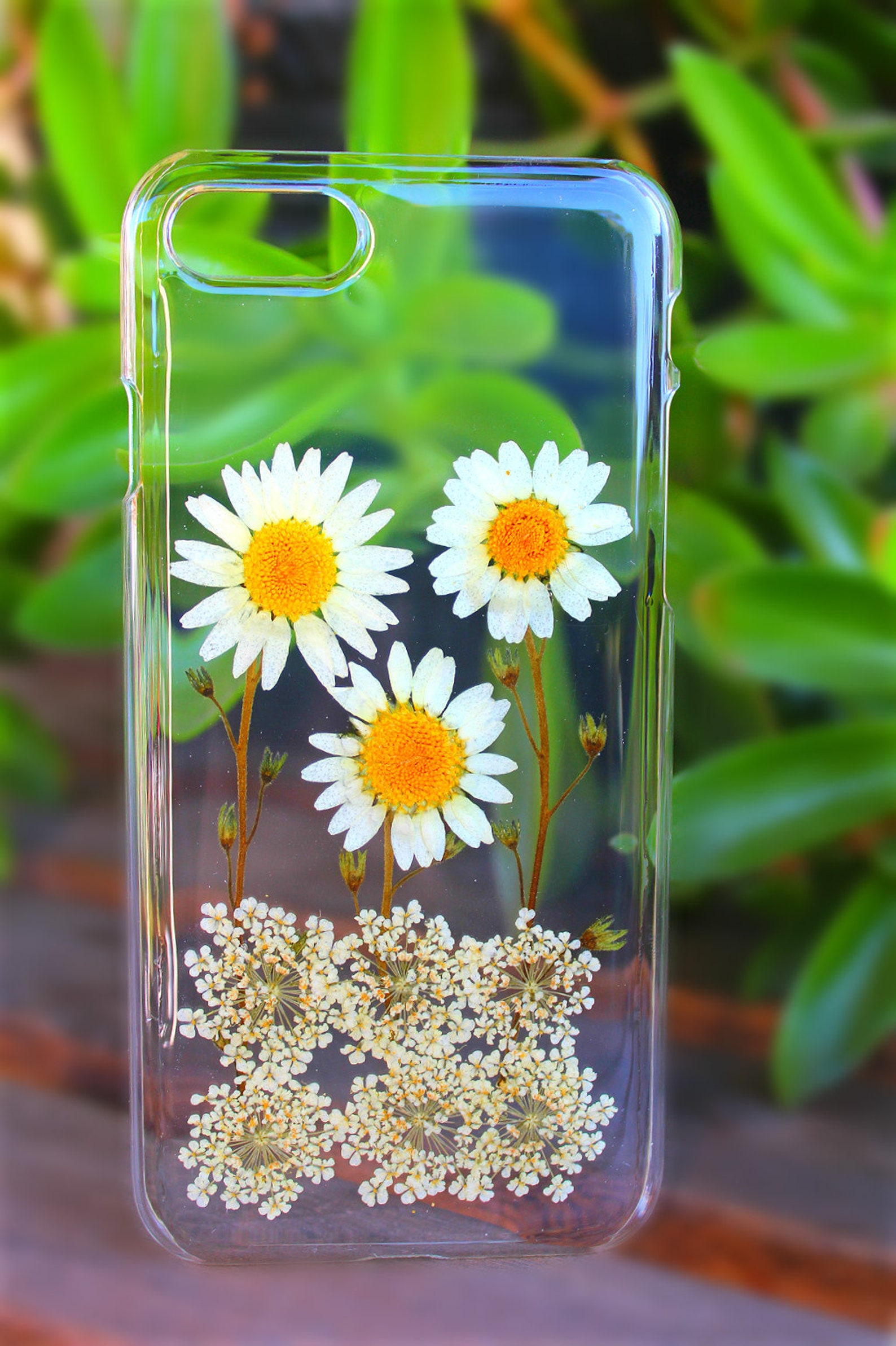 Samsung Galaxy A5 A3 Flower Case White Daisies Pressed | Etsy