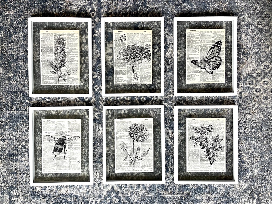 Botanical Vintage Dictionary Artwork Picture Wall Art Frame Collage ...