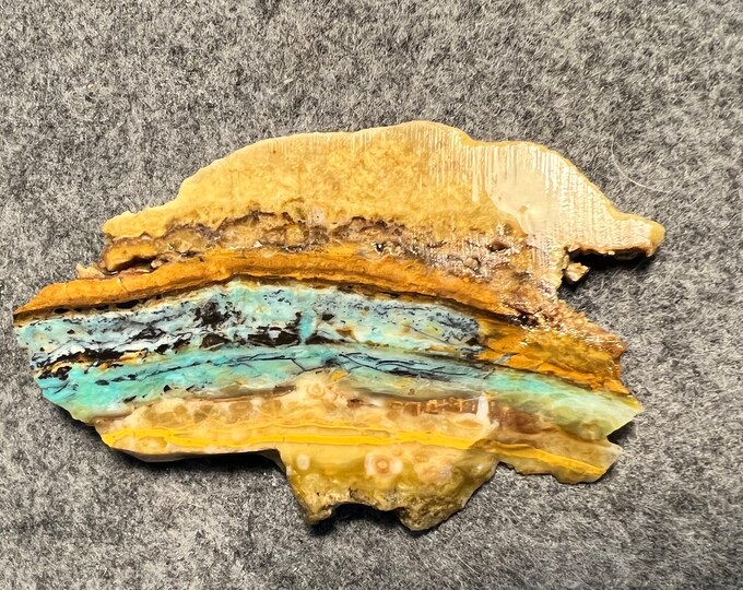 Blue Opal Wood Slab, Rough Slice for Lapidary, Stone Specimen, Aqua and ...