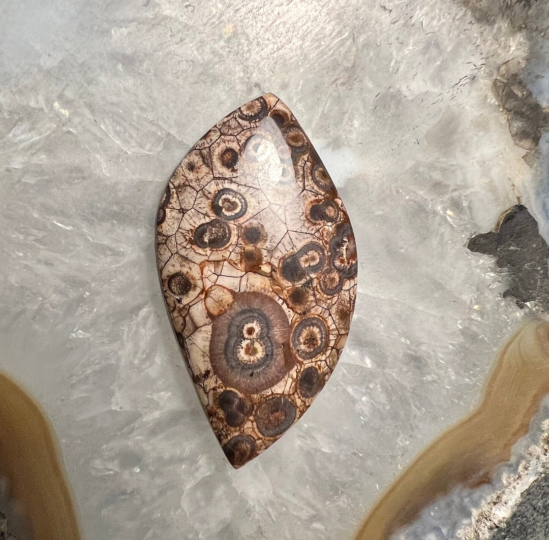 Birds Eye Rhyolite Designer Cabochon, Brown and Gray Hand Cut and ...