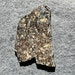 Turritella Agate Slab, Rough Slice for Lapidary, Stone Specimen, Fossil ...