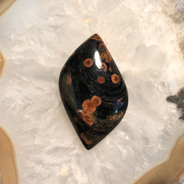 Hand Cut Lapidary - Etsy