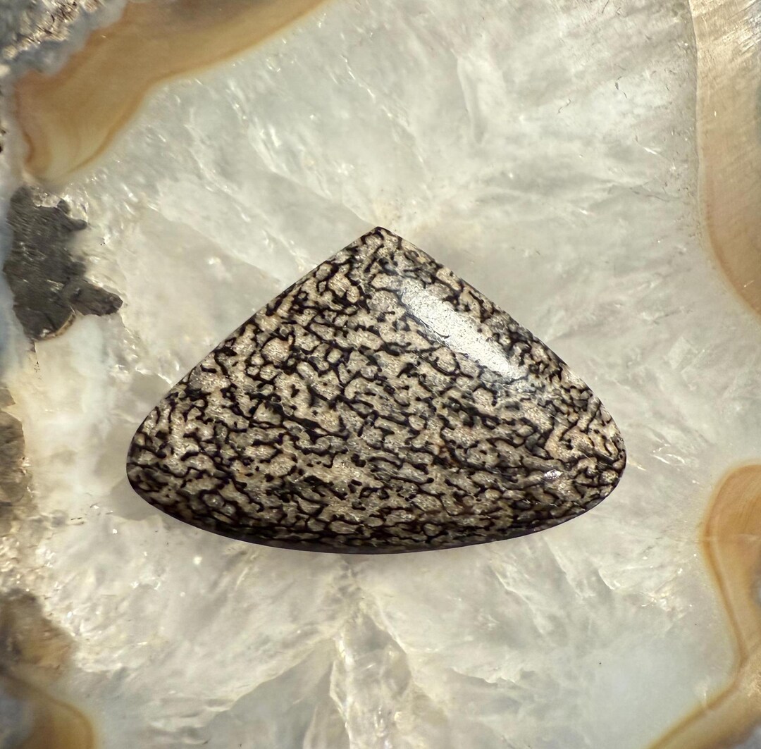 Mineralized Dinosaur Bone Pyramid Shaped Cabochon, Black, Brown, and ...
