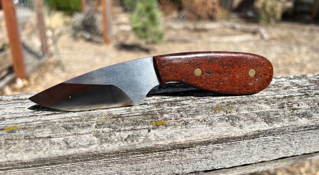 Dinosaur Bone Handled Knife, Collector Knife, Stainless Steel 440C ...