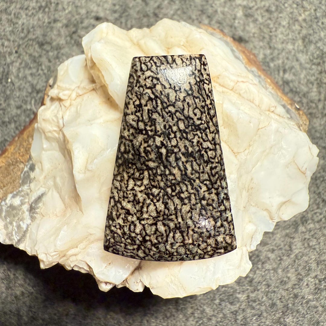 Mineralized Dinosaur Bone Trapezoid Shaped Cabochon, Black, Brown, and ...