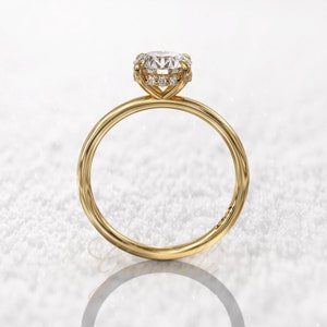 1 CT Hidden Halo Diamond Engagement Ring, Lab Diamond IGI CERTIFIED ...