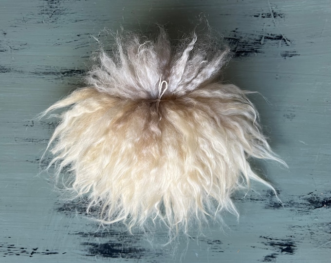 Musket Shetland Sheep Separated Locks From Edgar (brown, Gray, Cream ...