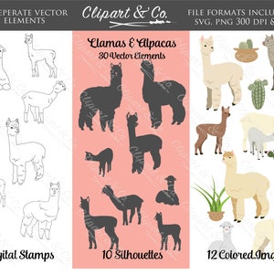 Llama Alpaca Clip Art, Animal SVG Clipart 30 Vector Images, Cactus Clip ...