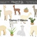 Llama Alpaca Clip Art, Animal SVG Clipart 30 Vector Images, Cactus Clip ...