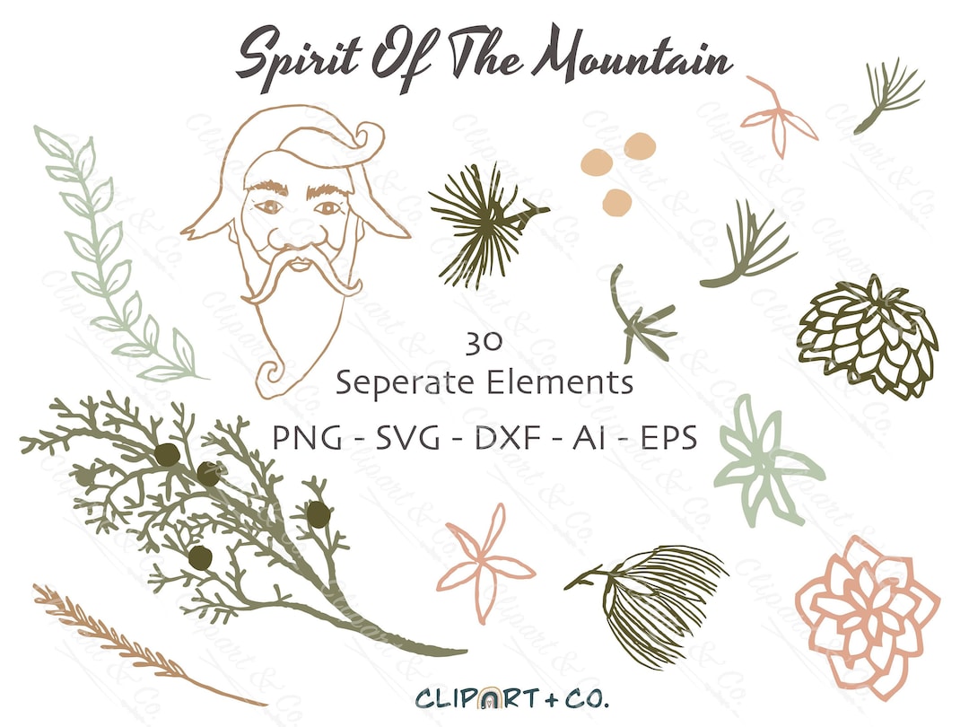 Mountain Botanical PNG - Juniper SVG - Mountain Flower SVG - Foliage ...