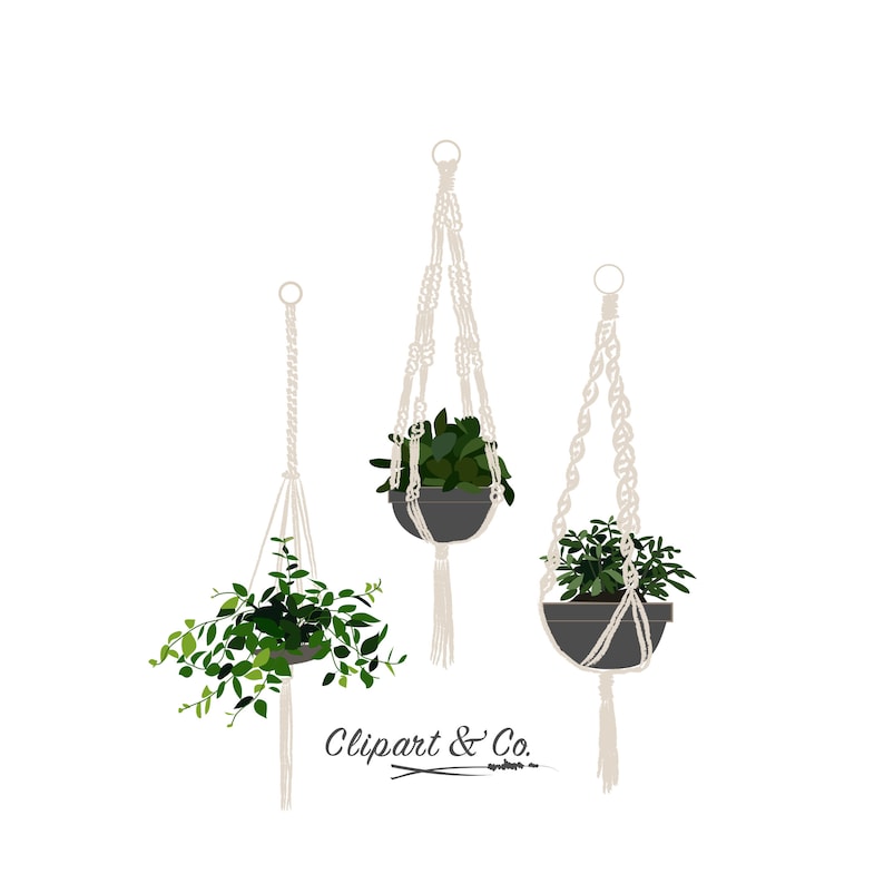 Macrame Plant Hanger Clipart Macrame Wall Hanging Macrame - Etsy España