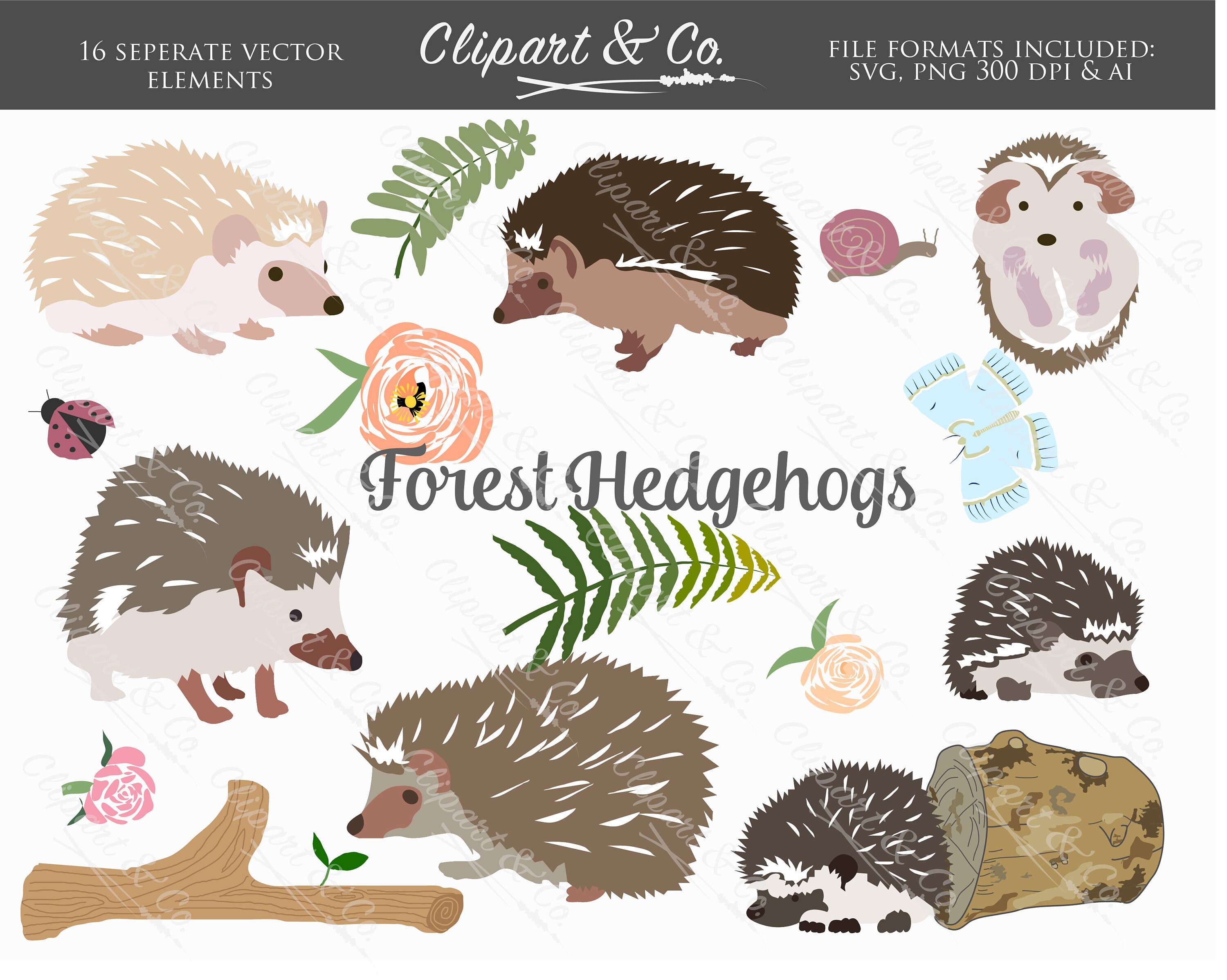 Hedgehog Clipart, Woodland Animals Clipart, Design Elements Forest ...
