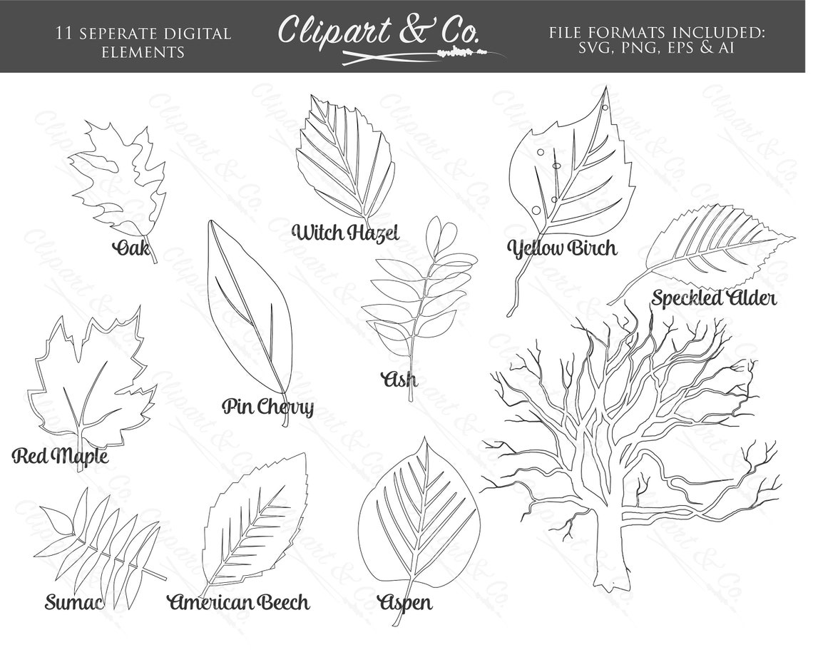 Fall Leaf Clipart SVG, Tree Clip Art Digital Stamps, Vector Images ...