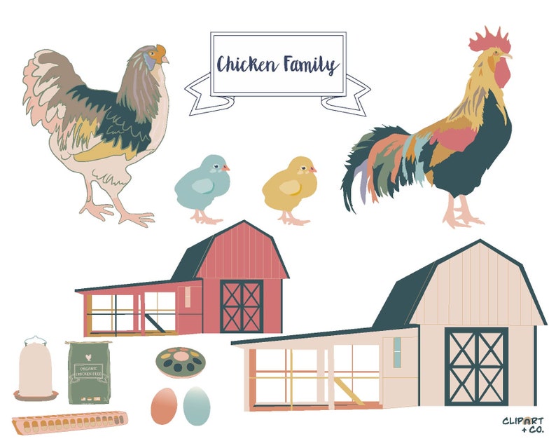 Chicken Farm Animal Clipart Chicken Digital Paper Rooster - Etsy