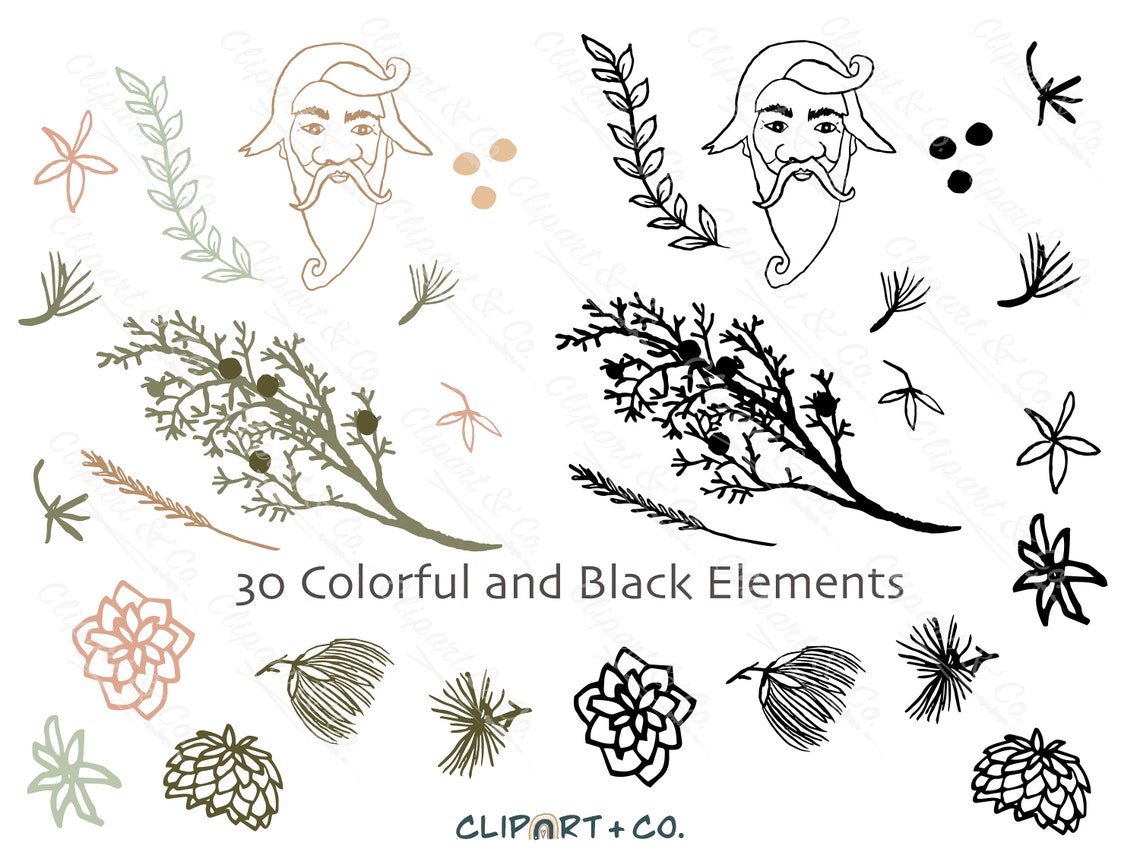 Mountain Botanical PNG - Juniper SVG - Mountain Flower SVG - Foliage ...