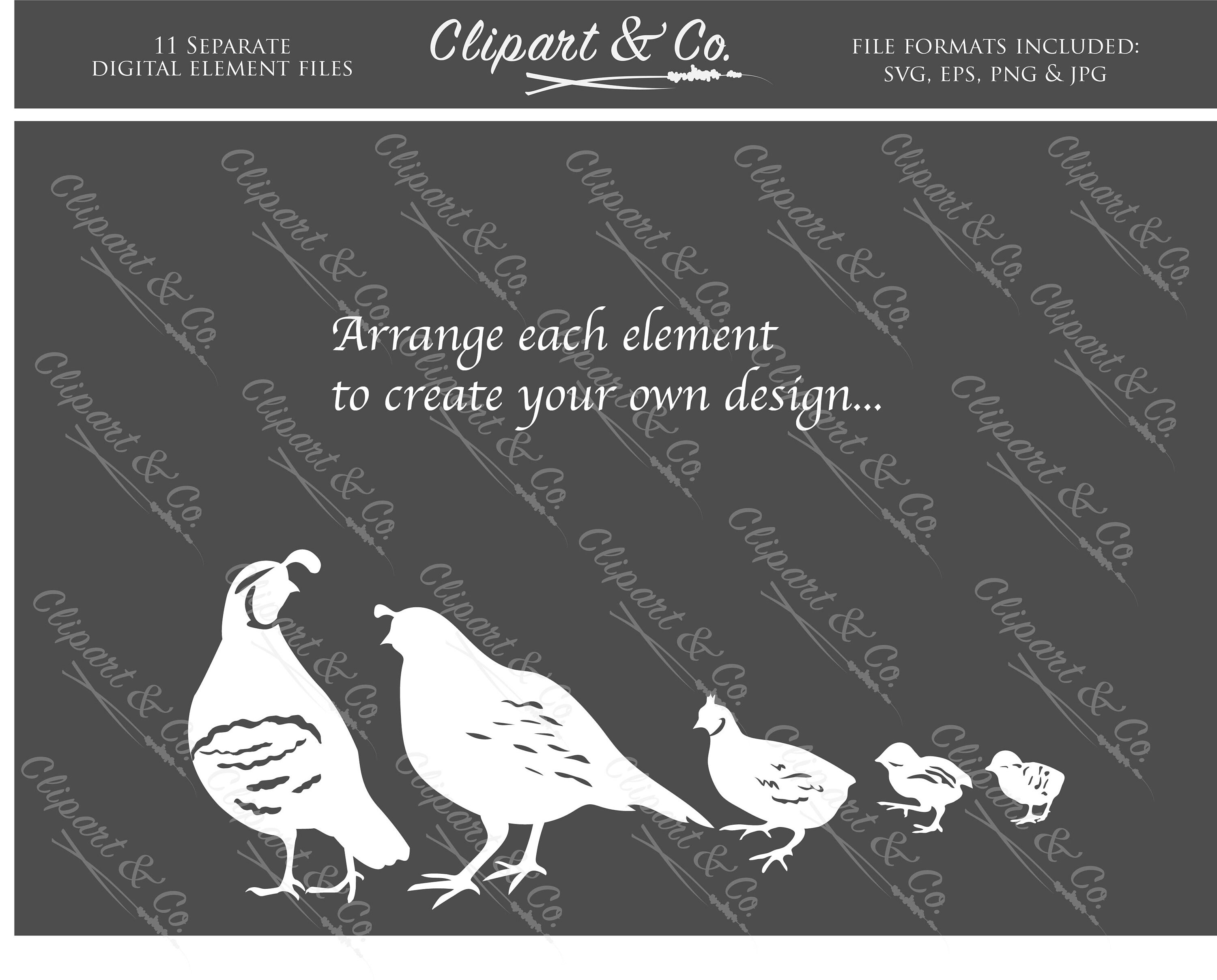 Quail Family SVG - Quail Vector - Quail Decals - SVG Decals - Quail ...