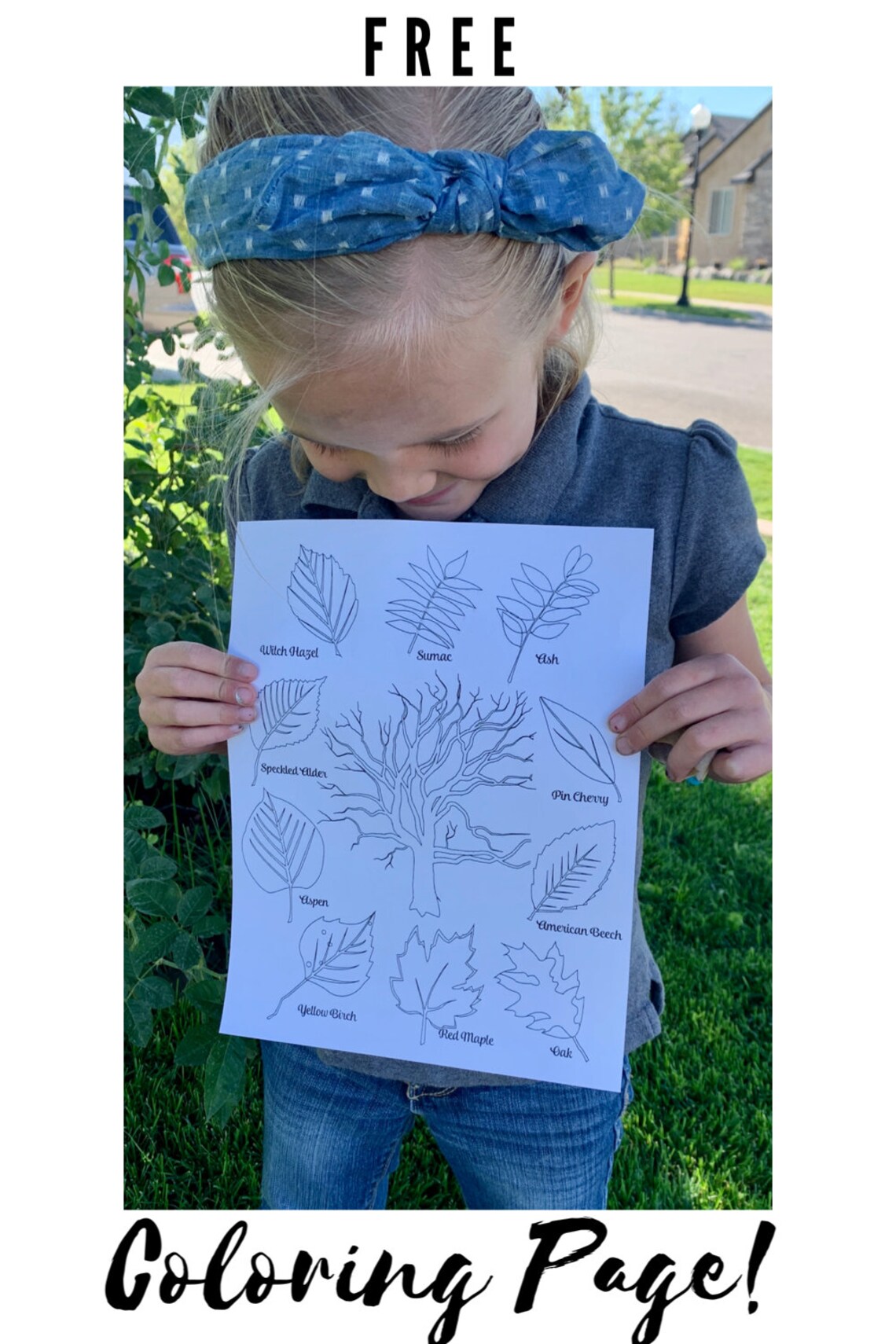 Fall Coloring Pages - Homeschool Coloring Page - Coloring Pages for ...