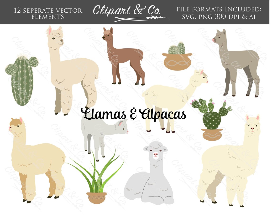 Llama Alpaca Clip Art, Animal SVG Clipart 30 Vector Images, Cactus Clip ...