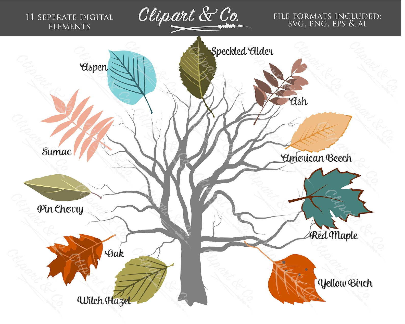 SVG Autumn Clipart Fall Leaves Clipart Design Elements, Vector Images ...