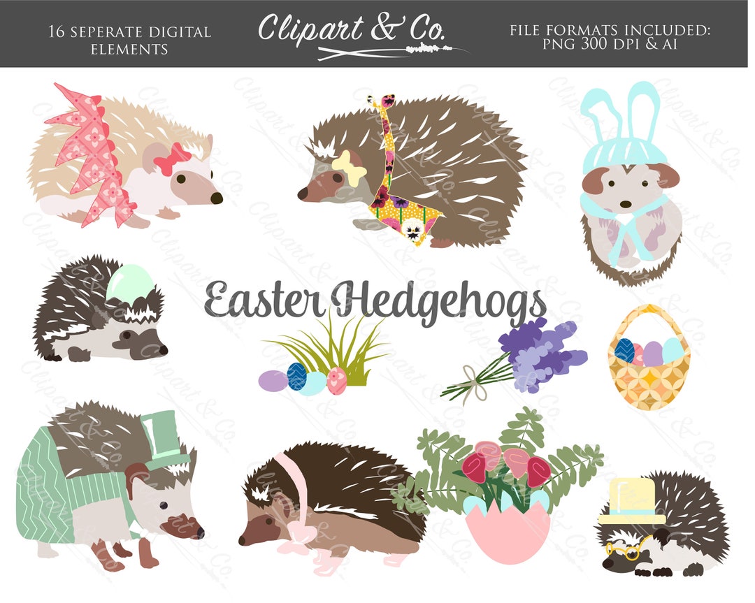 Hedgehog Easter Clipart, 16 Vector Images Woodland Animals Clipart ...