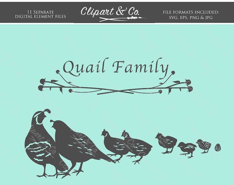 Quail Family SVG - Quail Vector - Quail Decals - SVG Decals - Quail ...