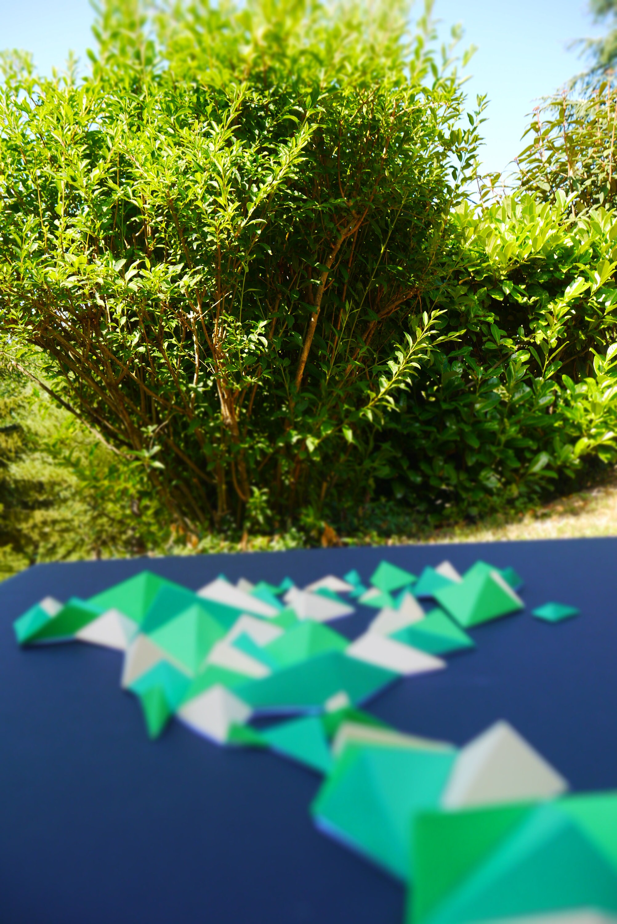 Papercraft Kit 3D Nature World Map Size S/M/L Wall - Etsy