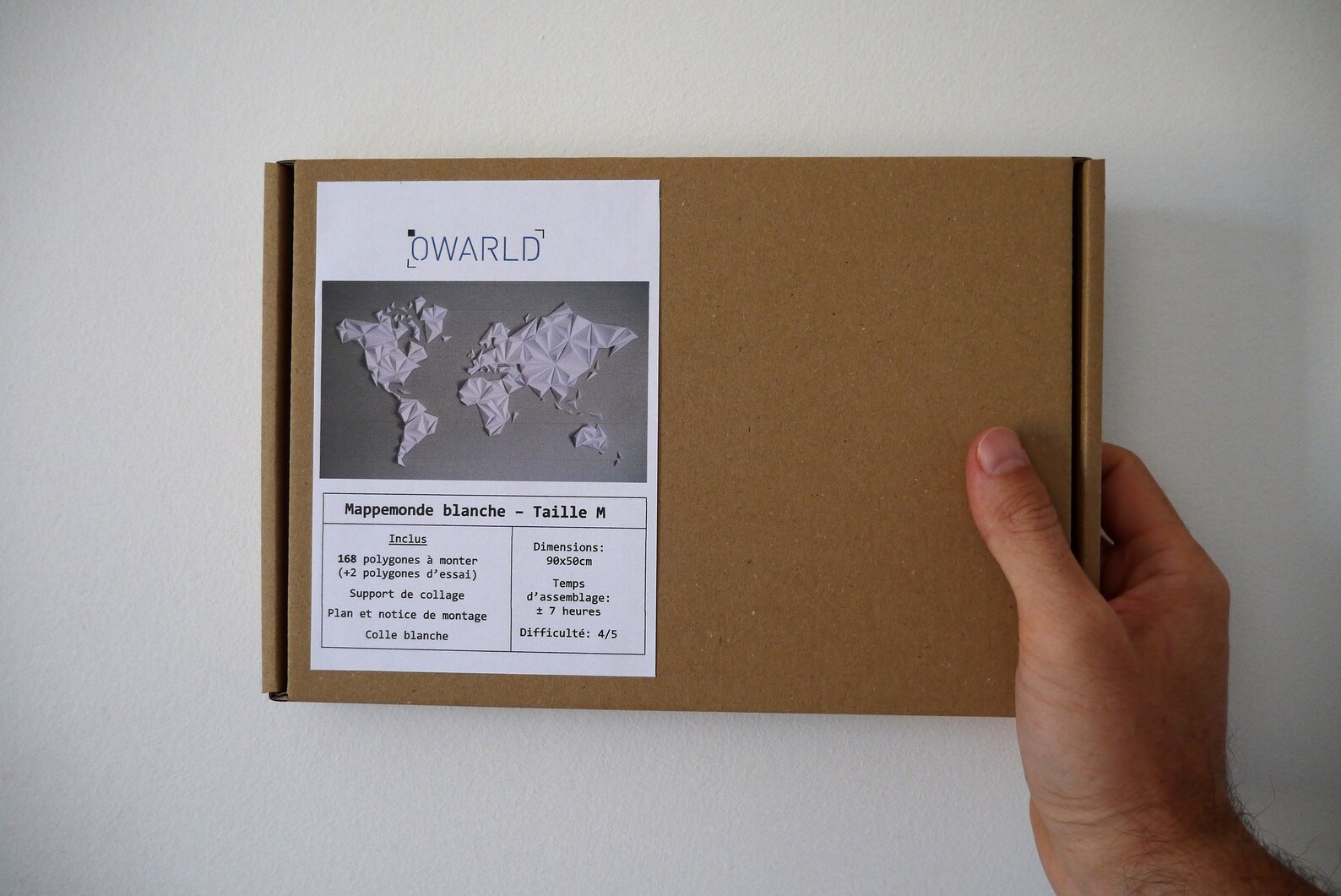 Kit Papercraft, World Map 3D White S/M/L Size, Wall Decoration, Made in ...