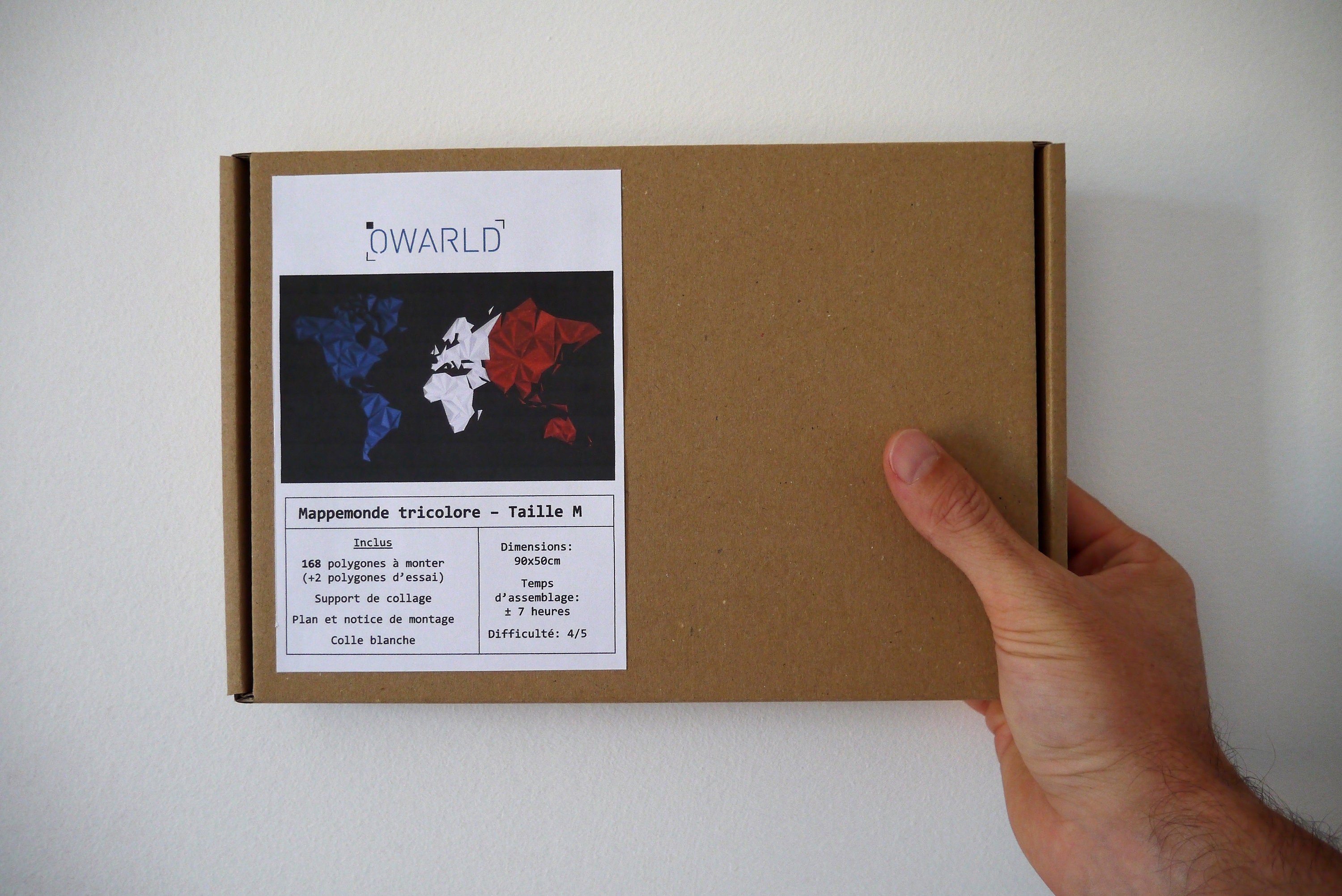 Kit Papercraft World Map 3D Tricolor Size S/M Wall - Etsy