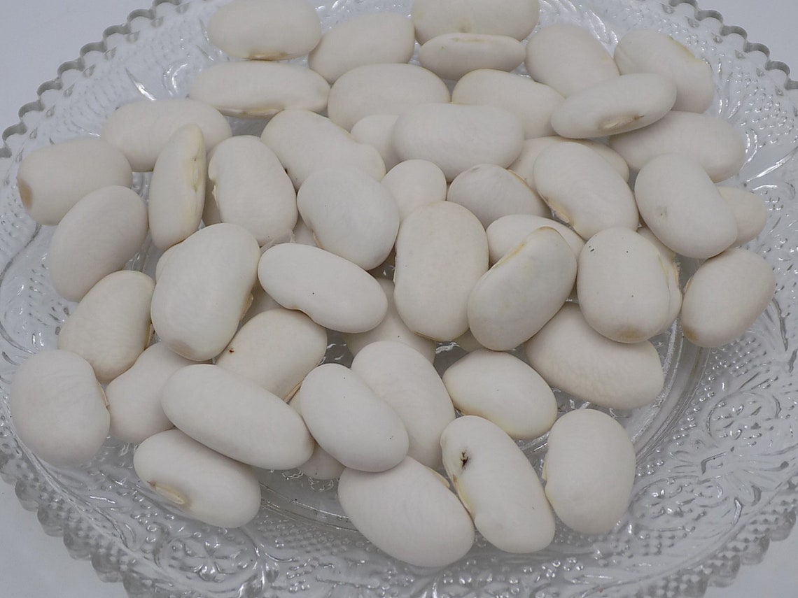 White Bean, White Bean SEEDS, Large Seeds, Products From My Garden ...