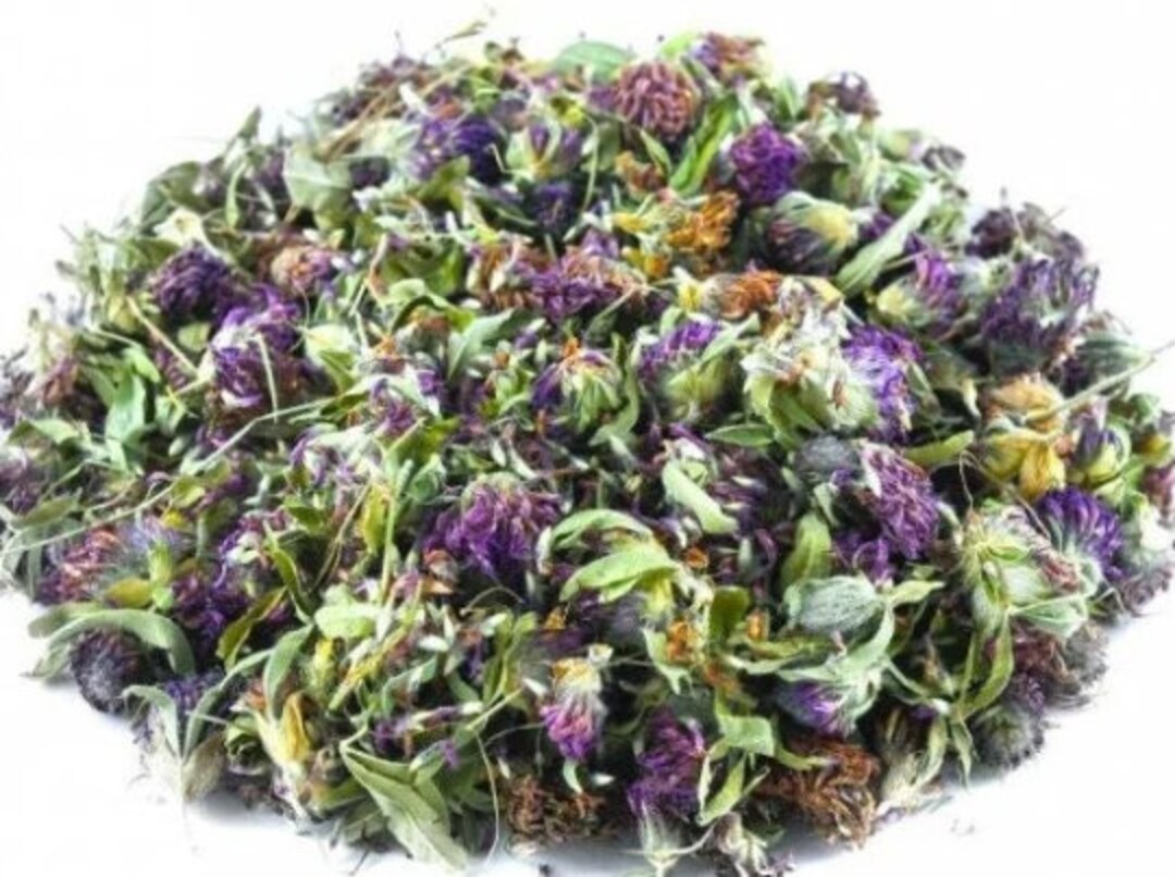 Dried Flowers of Red Clover, Red Clover, Red Clover, Foxtail, Organic ...