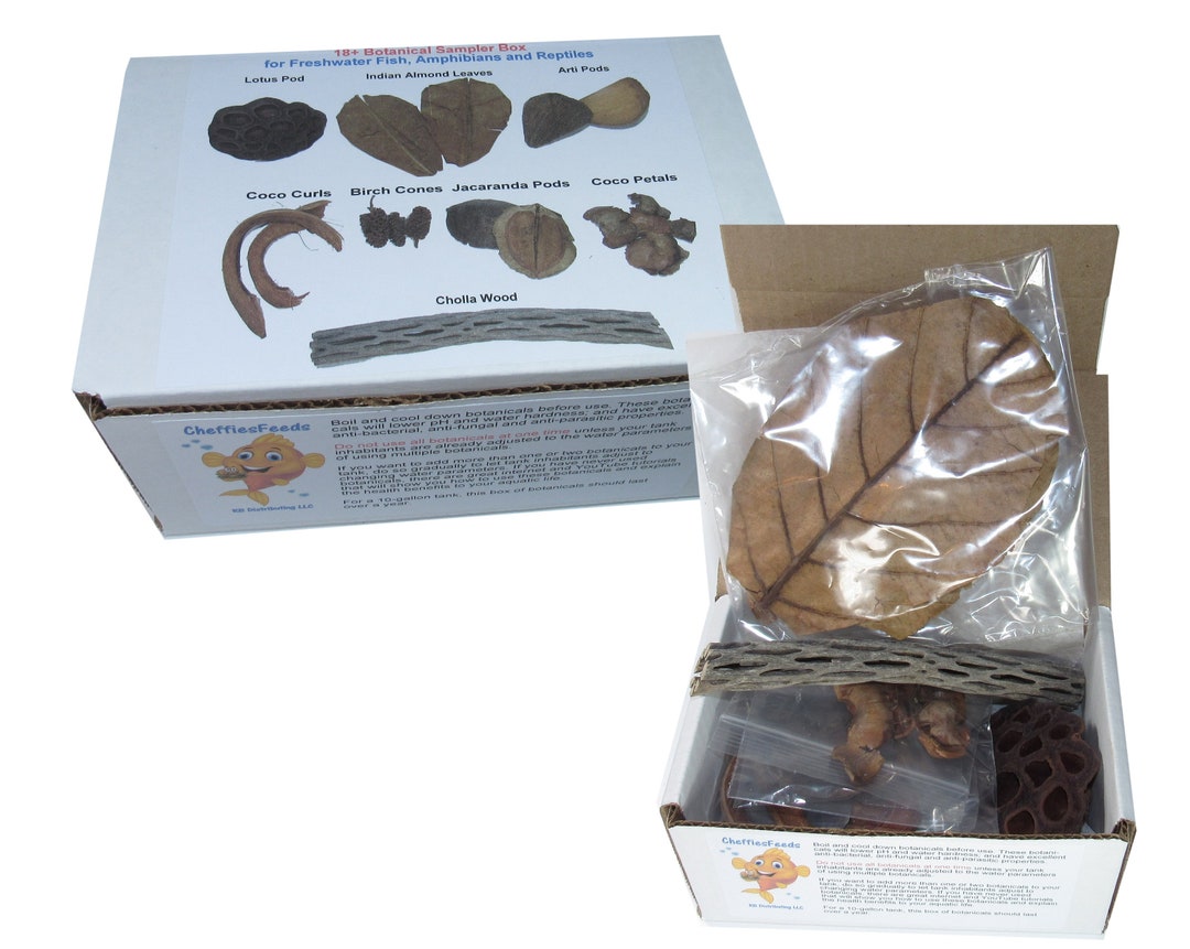 18pc BOTANICAL SAMPLER: Indian Almond Leaves, Cholla Wood, Lotus Pod ...