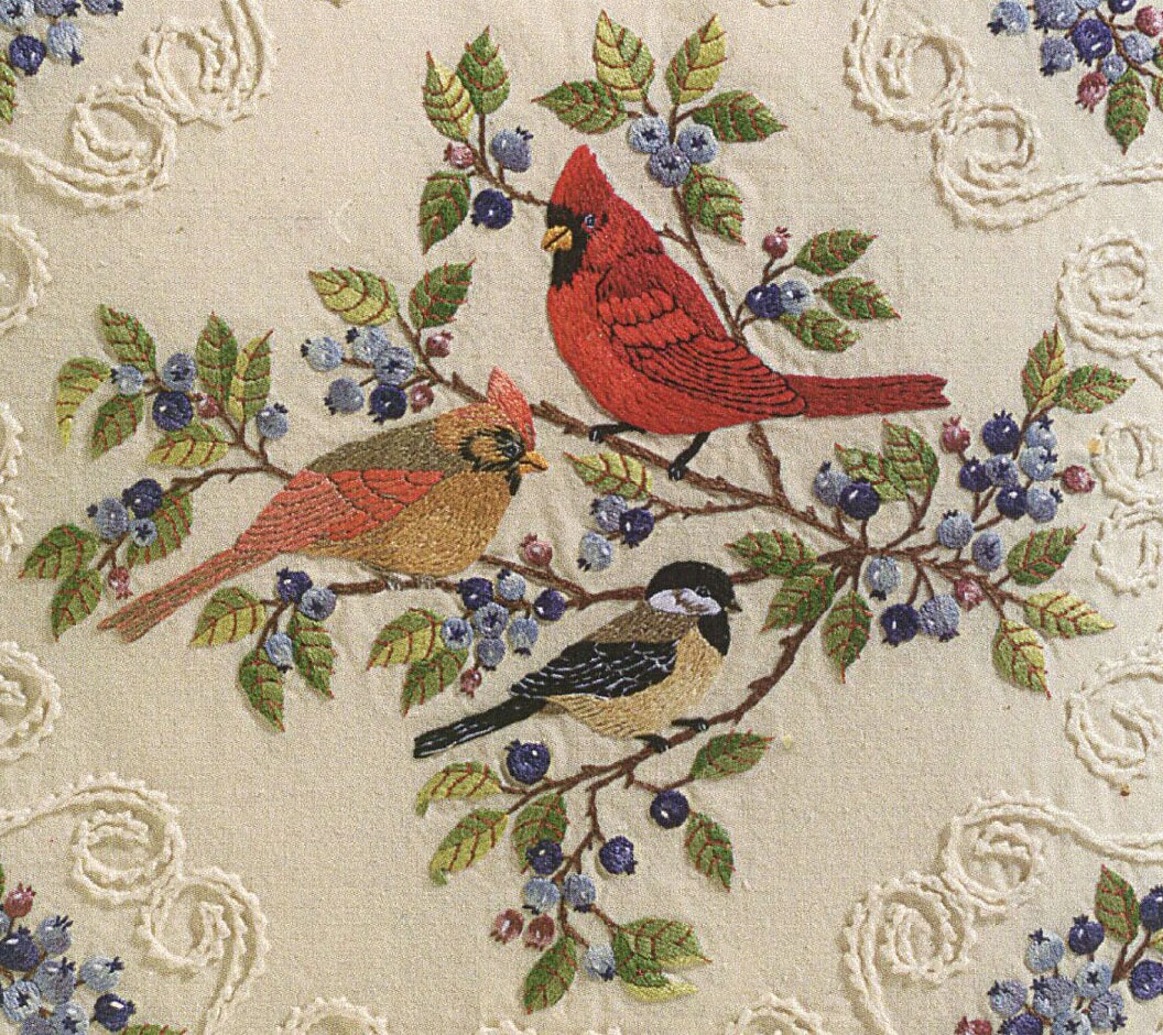Janlynn Candlewicking Embroidery Birds and Berries - Etsy