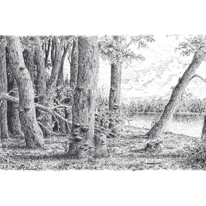 Forest Ink Drawing, Forest by the River Drawing, Landscape, Forest ...
