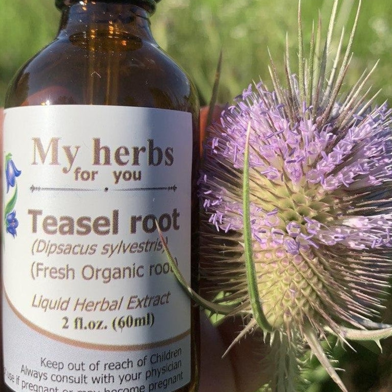 Myherbsforyou - Etsy Canada